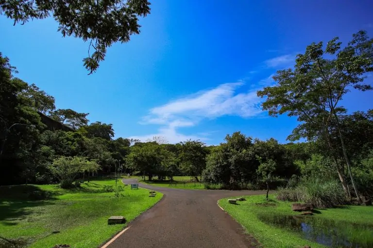 Legislativo aprova a revitalização “emergencial” do Parque Curupira ...