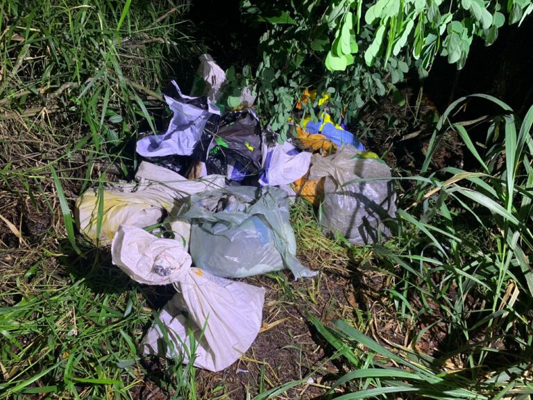 Funcionário da Gerdau é preso por furtar carga avaliada em R$ 350 mil