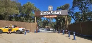 ZooSP relança Simba Safari com tour guiado e promoções especiais ...