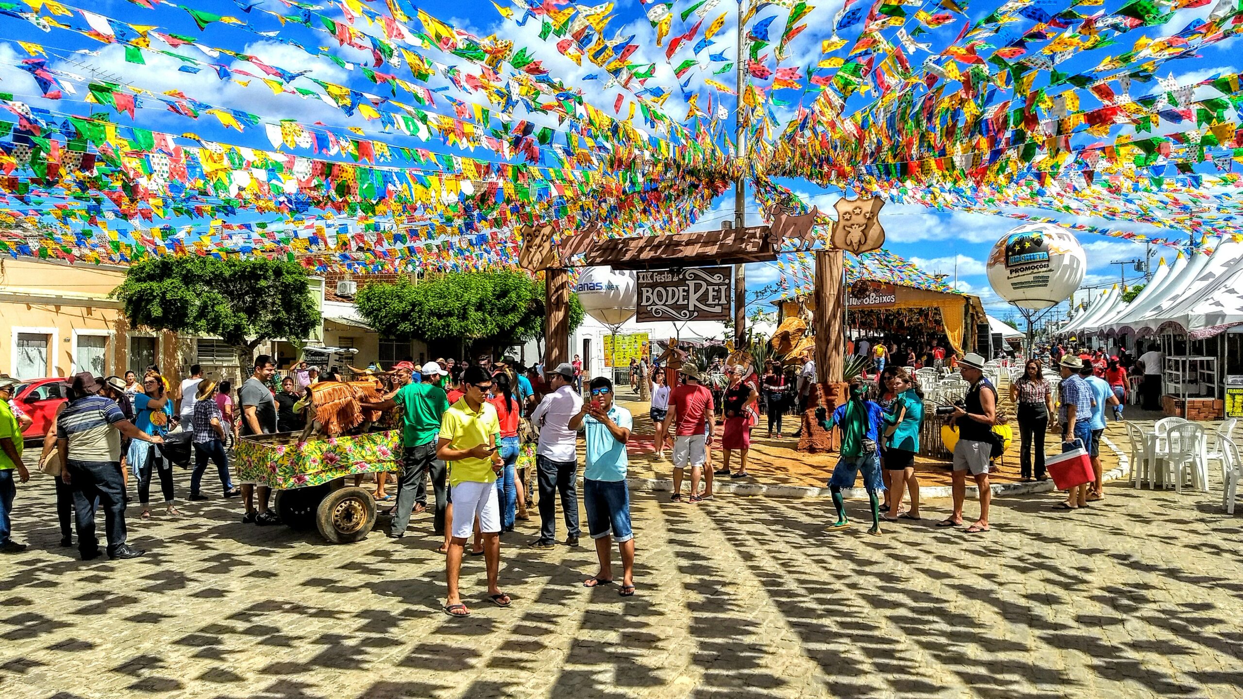 Festa do Bode Rei começa nesta quinta-feira (4) em Cabaceiras - THMais ...